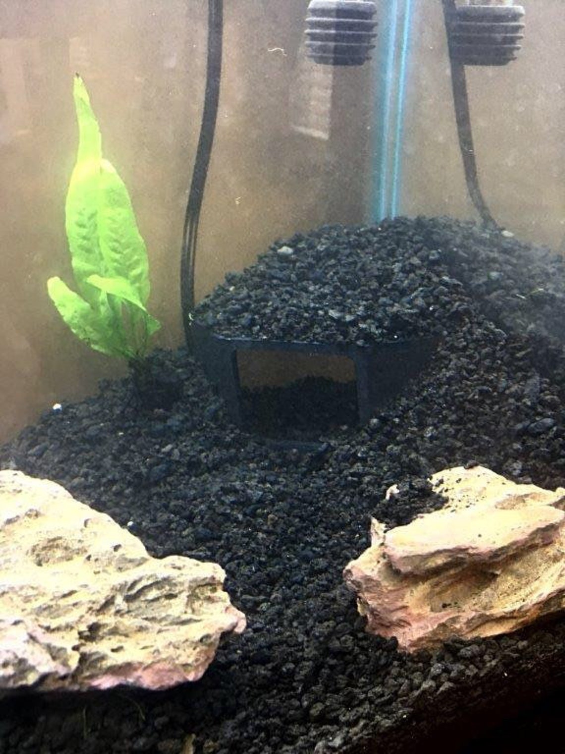 Axolotyl Crayfish Shrimp Aquarium Corner Cave Hide With - Etsy