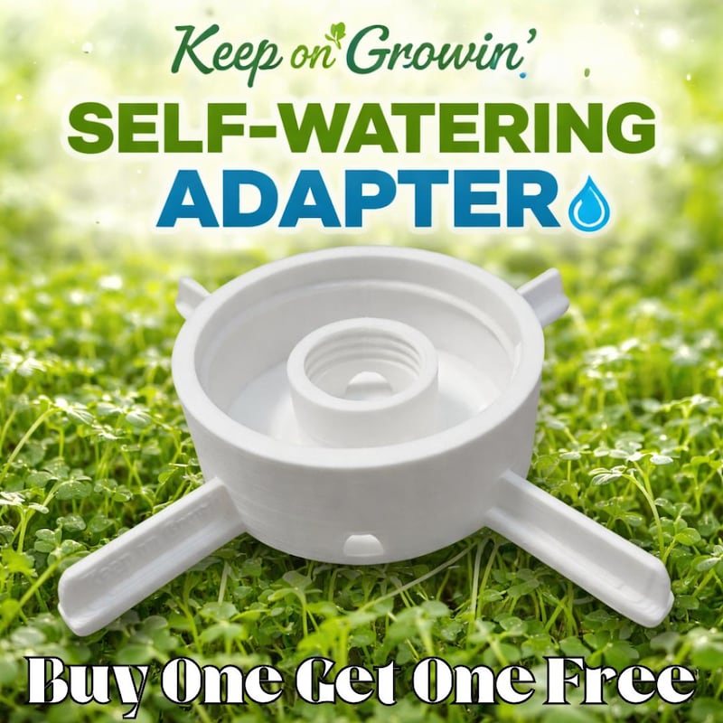 Hydroponic Kit Mason Jars - Etsy