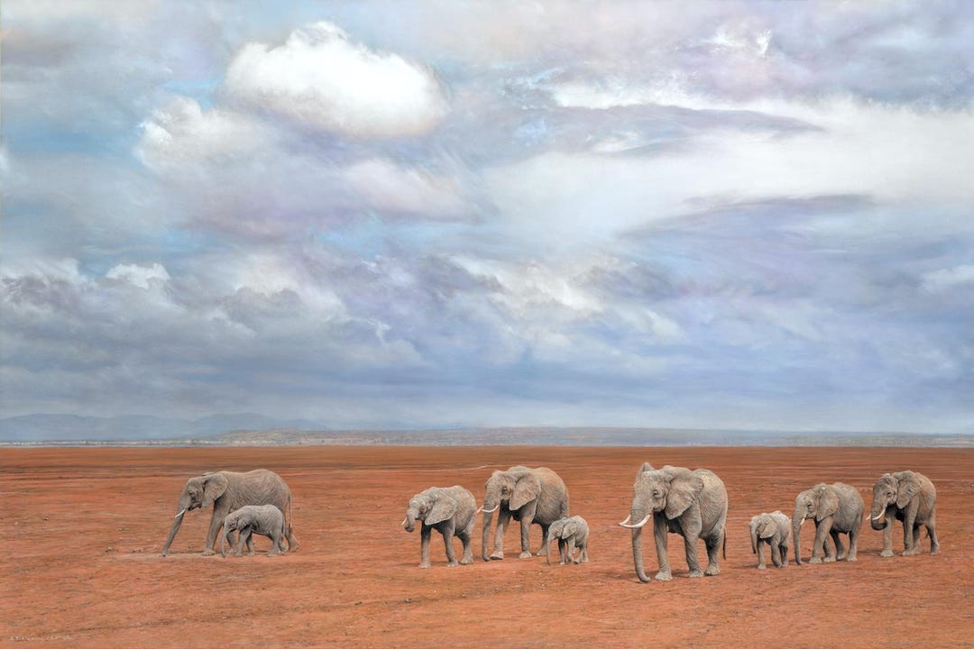 Elephant Art Print of an Original Pastel Pencil Drawing "test ...