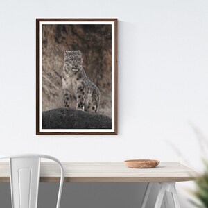 Snow Leopard Art Print of an Original Pastel Pencil Drawing (wildlife ...