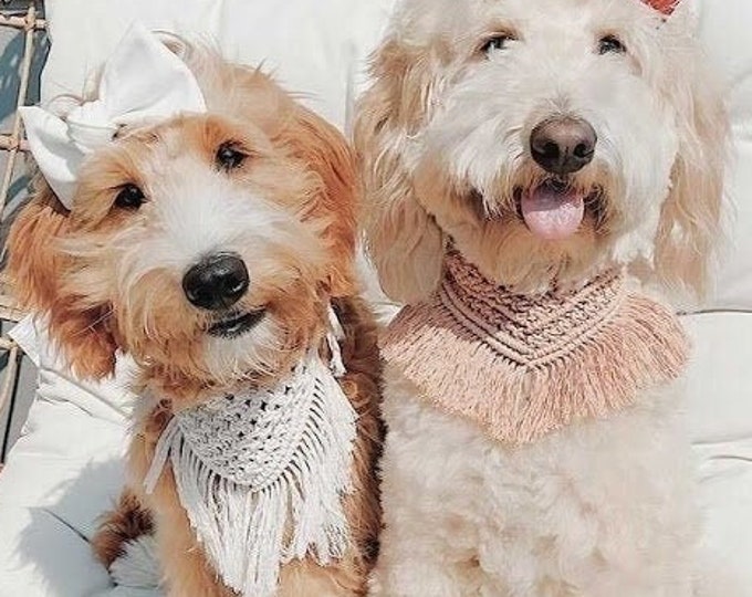 Macramé Dog Bandana With Fringe, Macramé Dog Collar, Adjustable Dog ...
