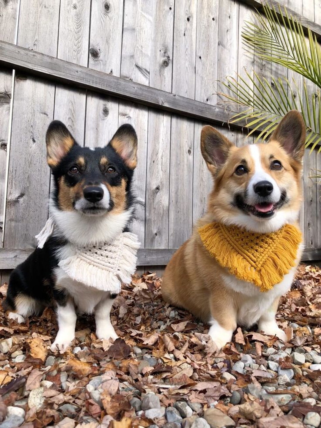 Macramé Dog Bandana With Fringe in Various Sizes & Colors, Macramé Dog ...