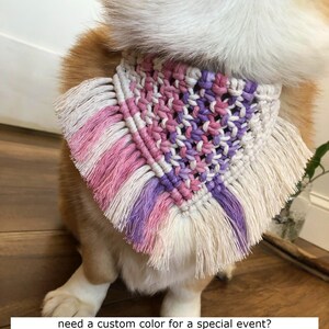 Macramé Dog Bandana With Fringe Macramé Dog Collar - Etsy