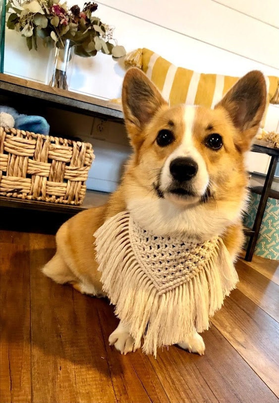 Macramé Dog Bandana with Fringe Macramé Dog Collar Wedding | Etsy
