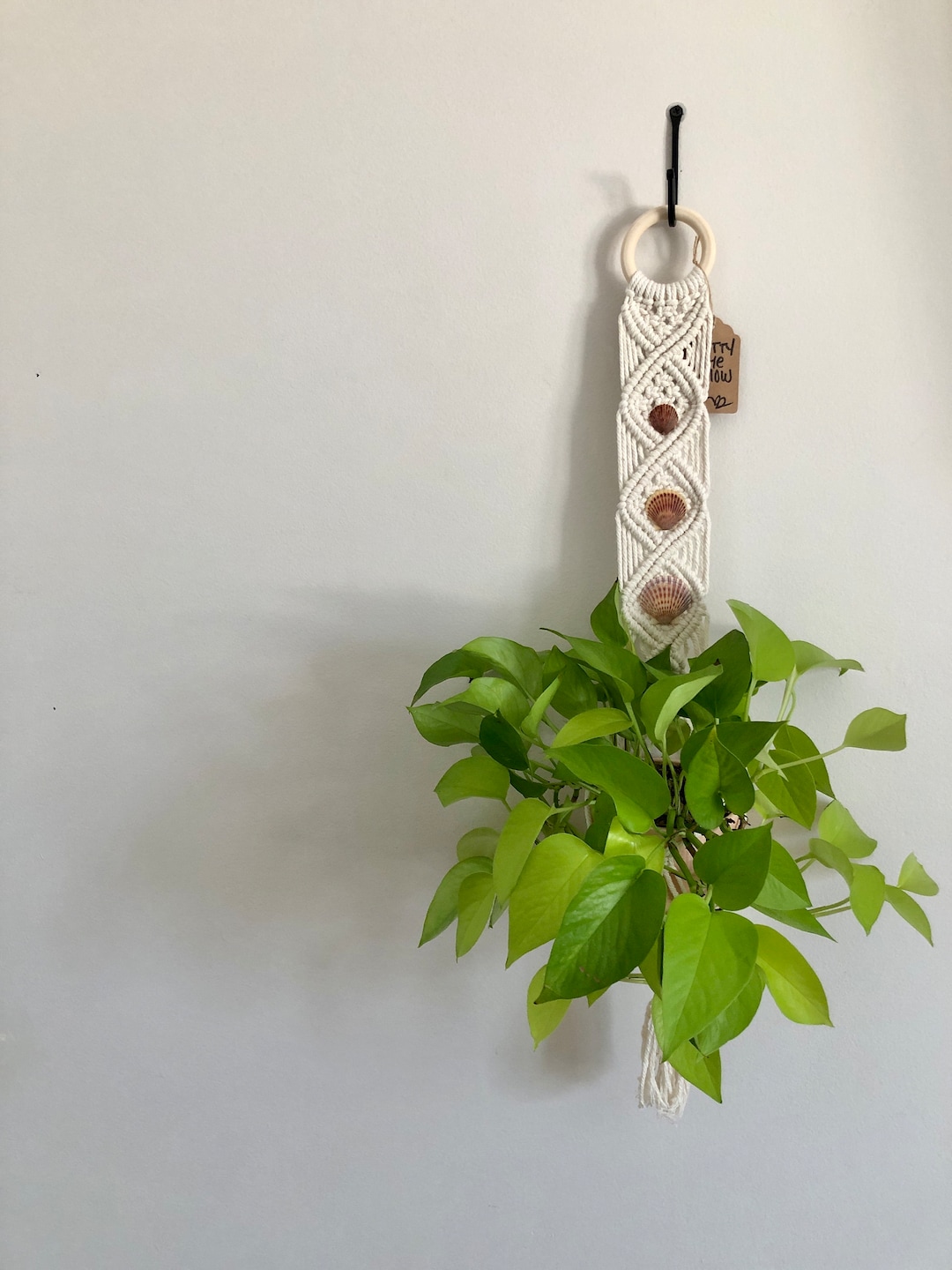 Flat Back Macramé Plant Hanger With Sea Shells, Macramé Planter ...