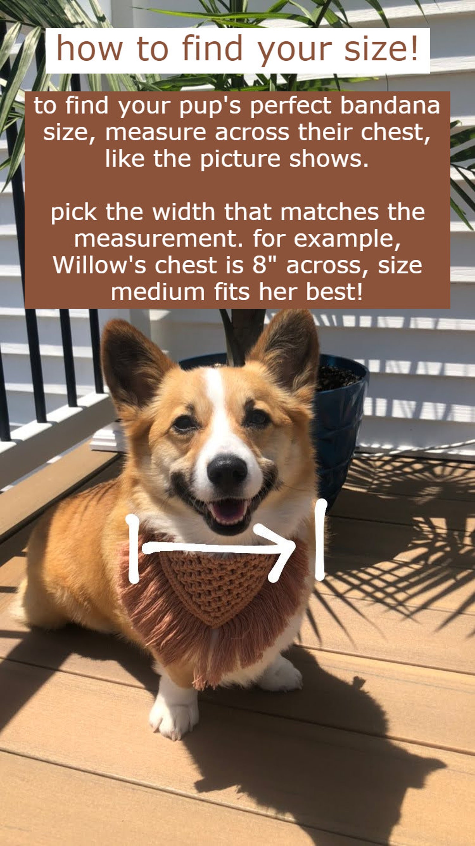 Macramé Dog Bandana With Fringe Macramé Dog Collar - Etsy