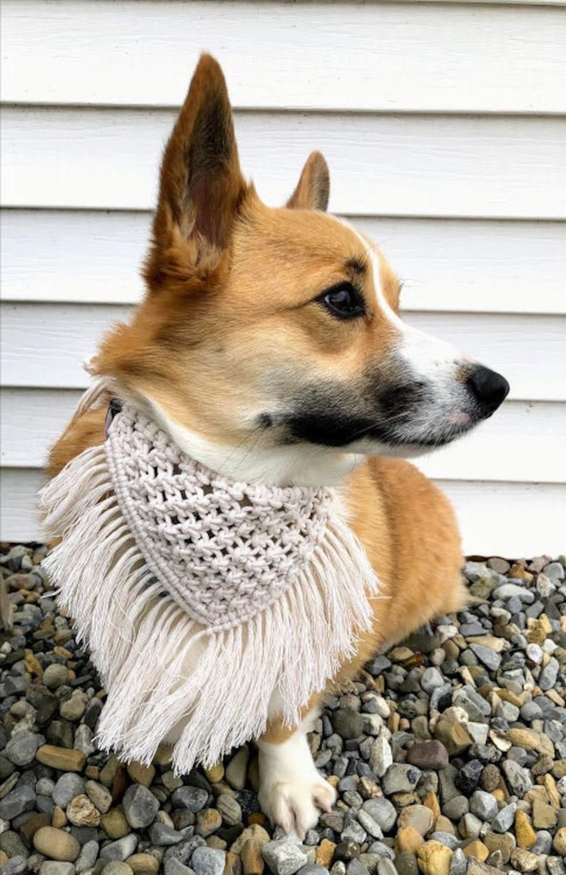 Macramé Dog Bandana With Fringe Macramé Dog Collar - Etsy