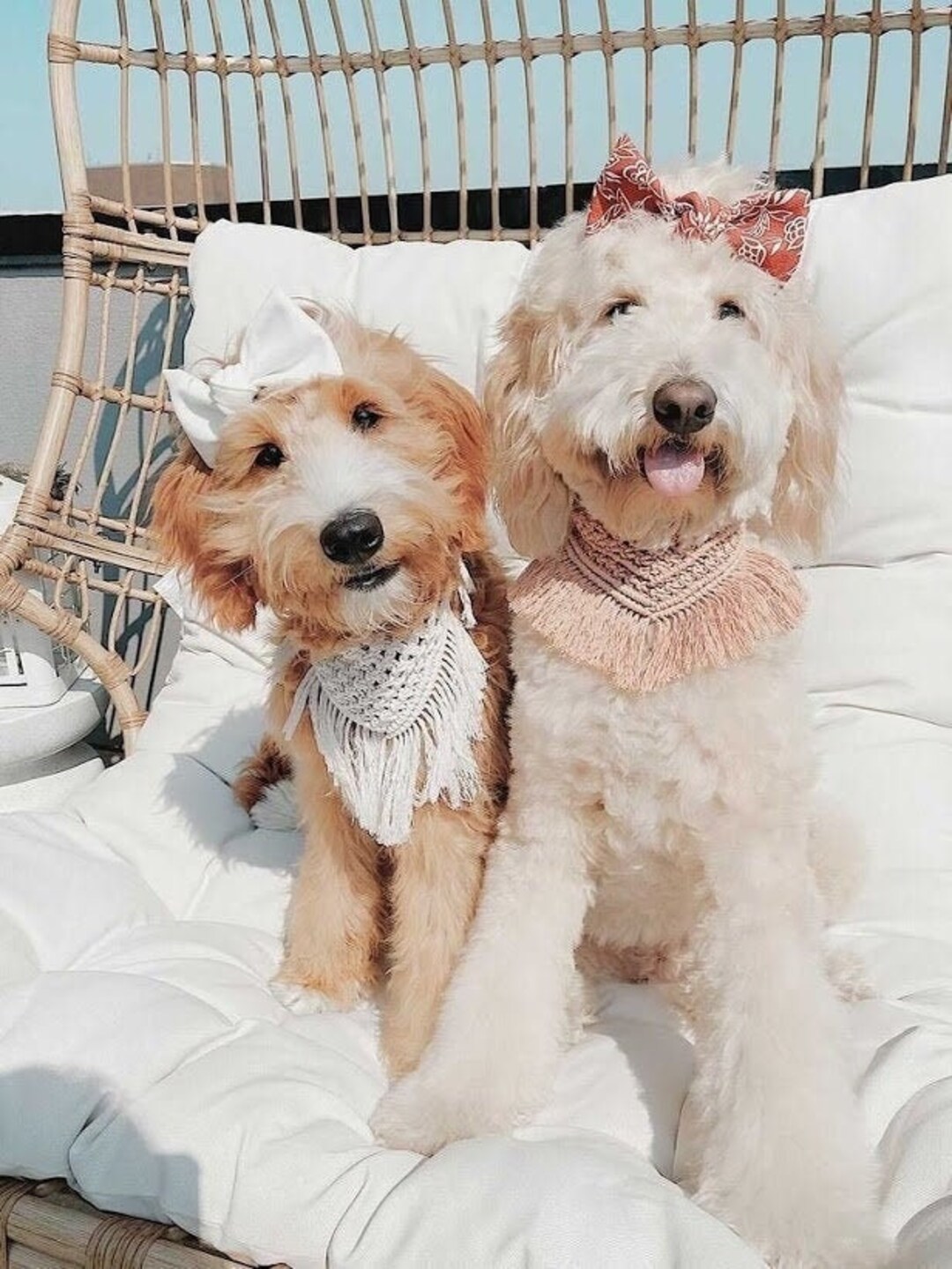 Macramé Dog Bandana With Fringe Macramé Dog Collar - Etsy