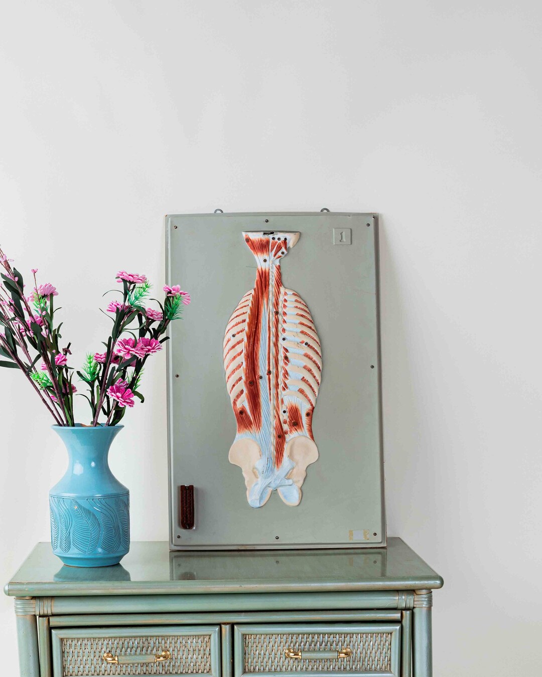 Vintage Skeleton Poster USSR Soviet Medical Wall Decor Large Muscle ...