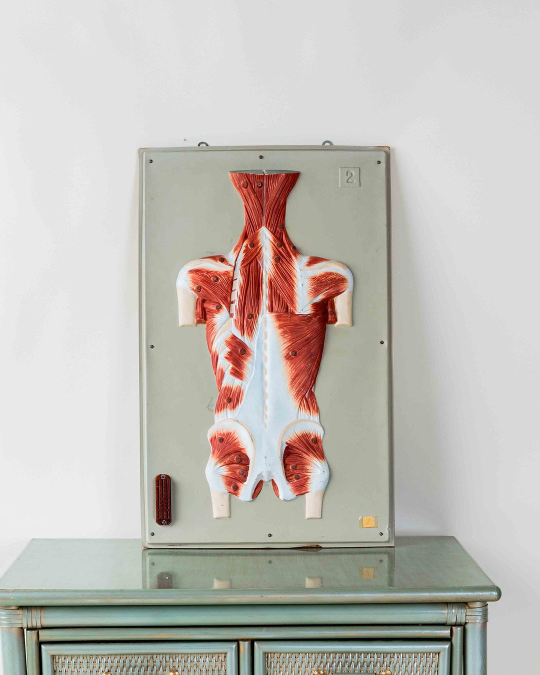 Vintage Medical Skeleton Poster Soviet Anatomy Wall Hanging Large ...