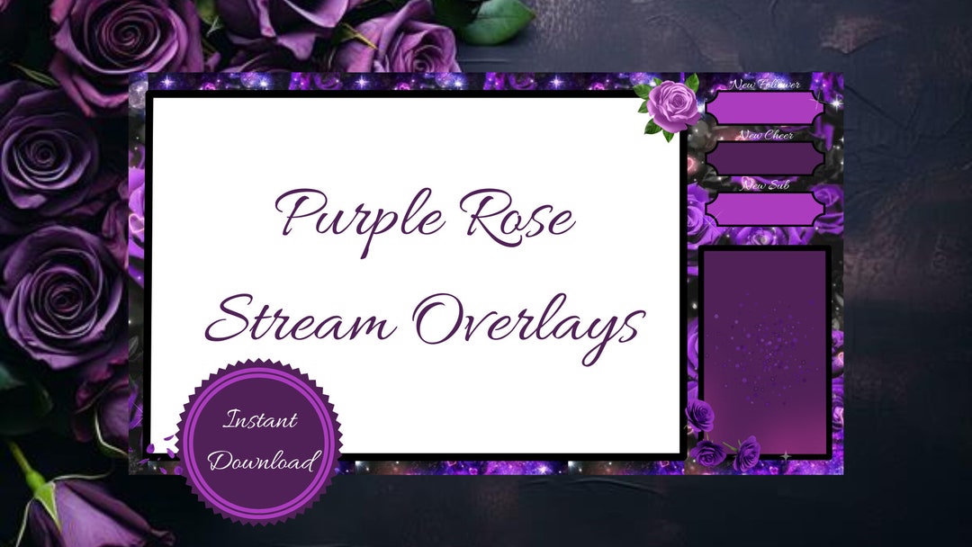 Purple Rose Stream Package - Etsy