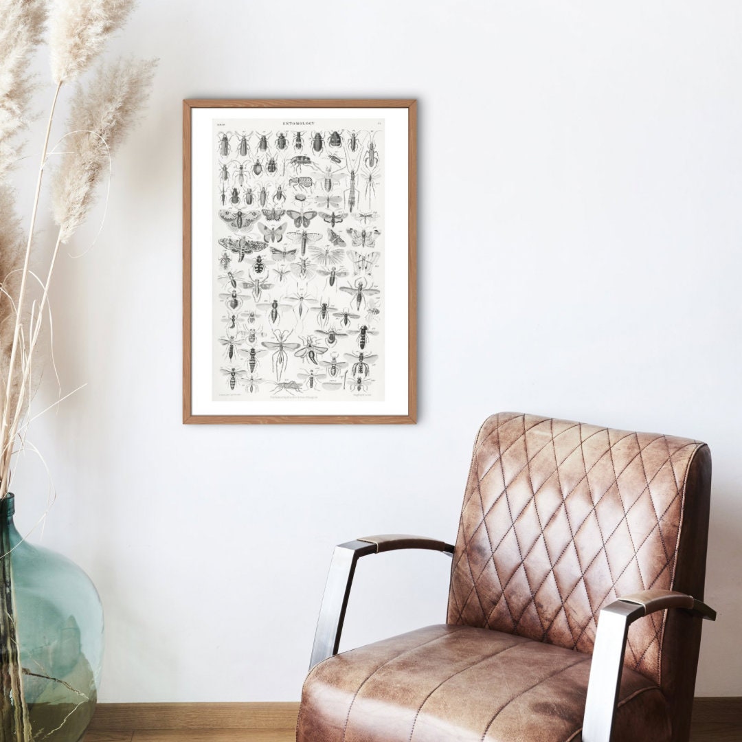 Printable Set of 2 Vintage Bug Poster Set, Vintage Gifts, Bug Art ...