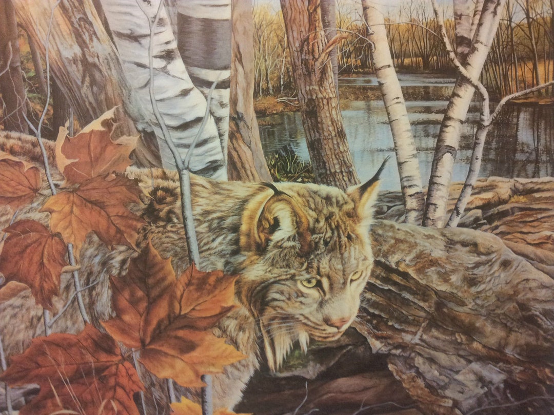 Tossounian Lynx Limited Edition Art Print Signed - Etsy