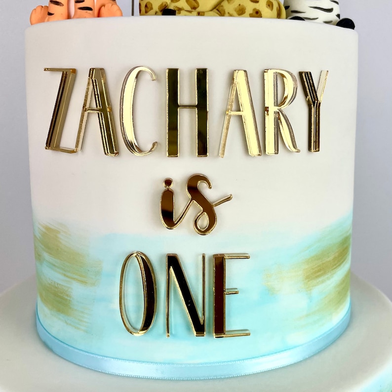 Individual Acrylic Cake Charms Decorative Cake Signs - Etsy UK