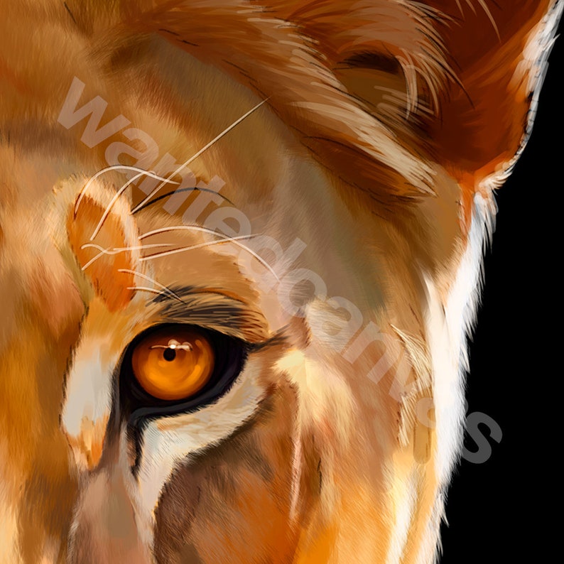 Lion & Lioness Couple Half Face Black Canvas Print Wall Art - Etsy