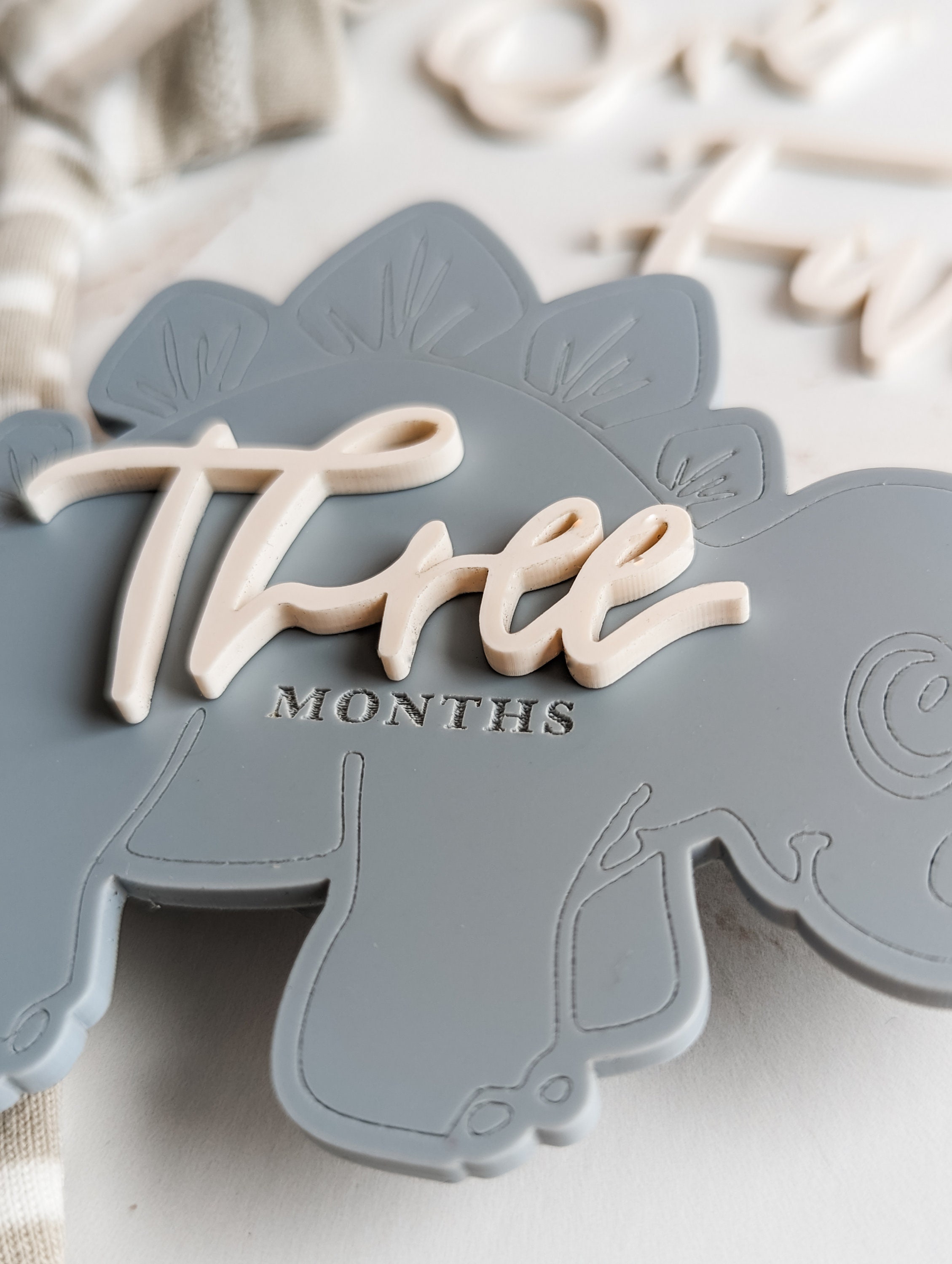 Modern Dinosaur Milestone Cards | Monthly Milestone Markers | Baby ...