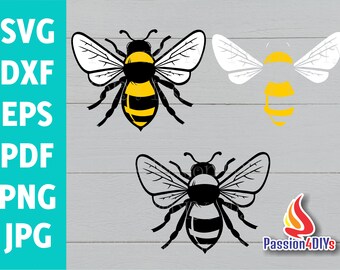 Bee svg | Etsy
