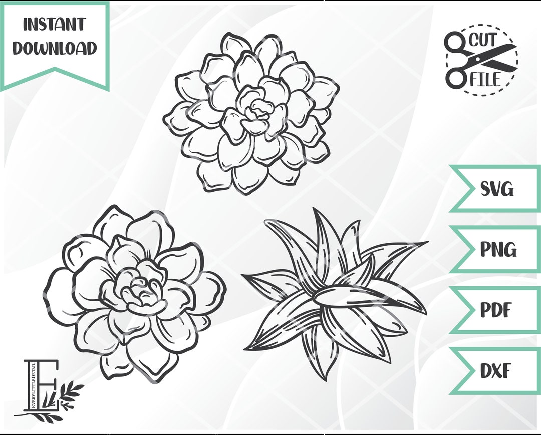 Succulent Bundle Cut File // Succulent Cut File // Svg Png Dxf Pdf ...