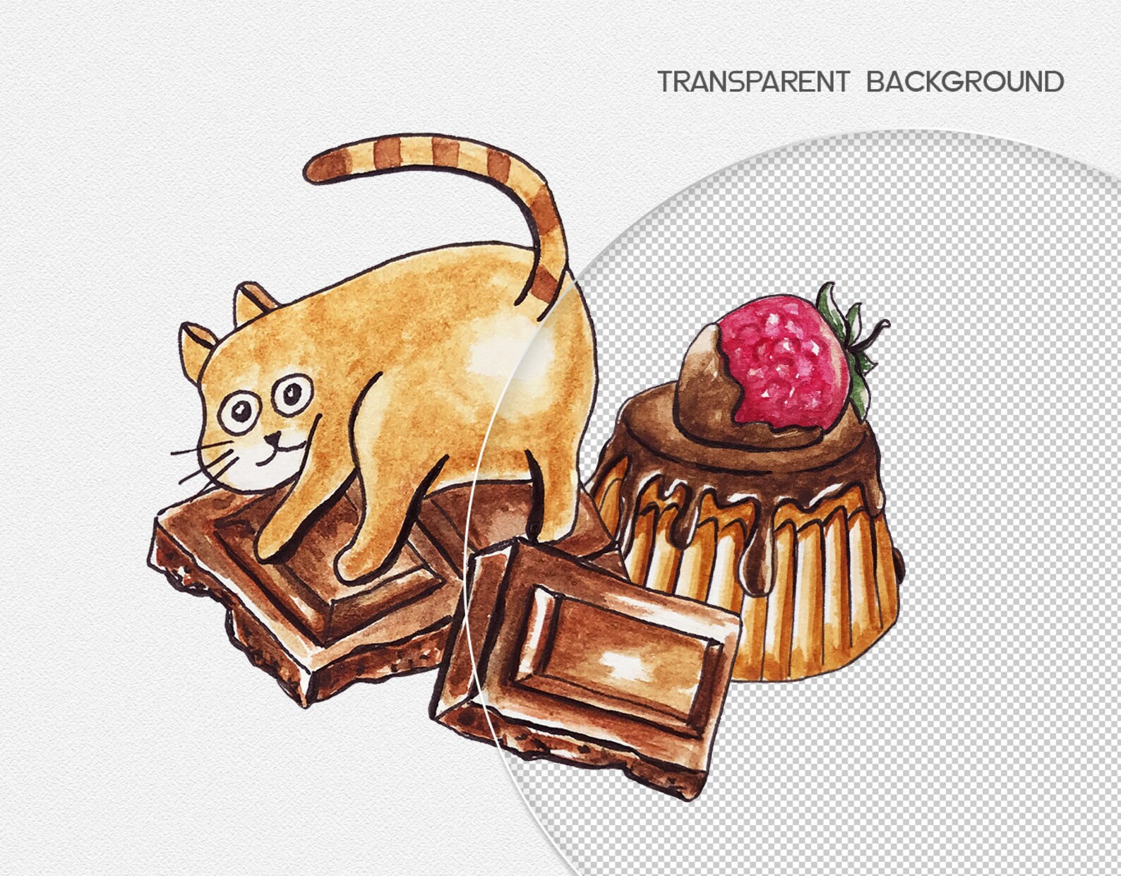 Watercolor Cats Digital Clipart Candy Stickers Chocolate - Etsy