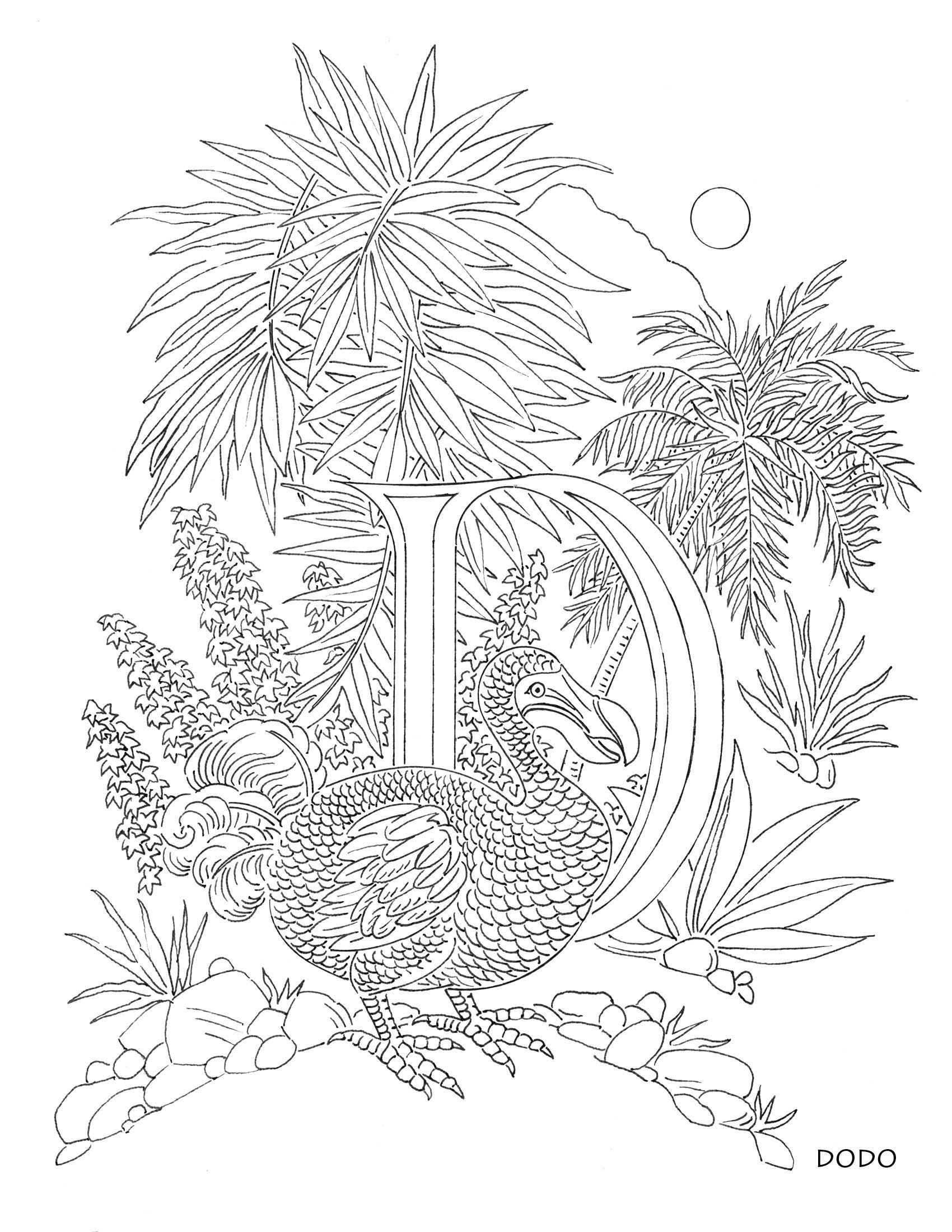 Nature Alphabet Coloring Book - Etsy