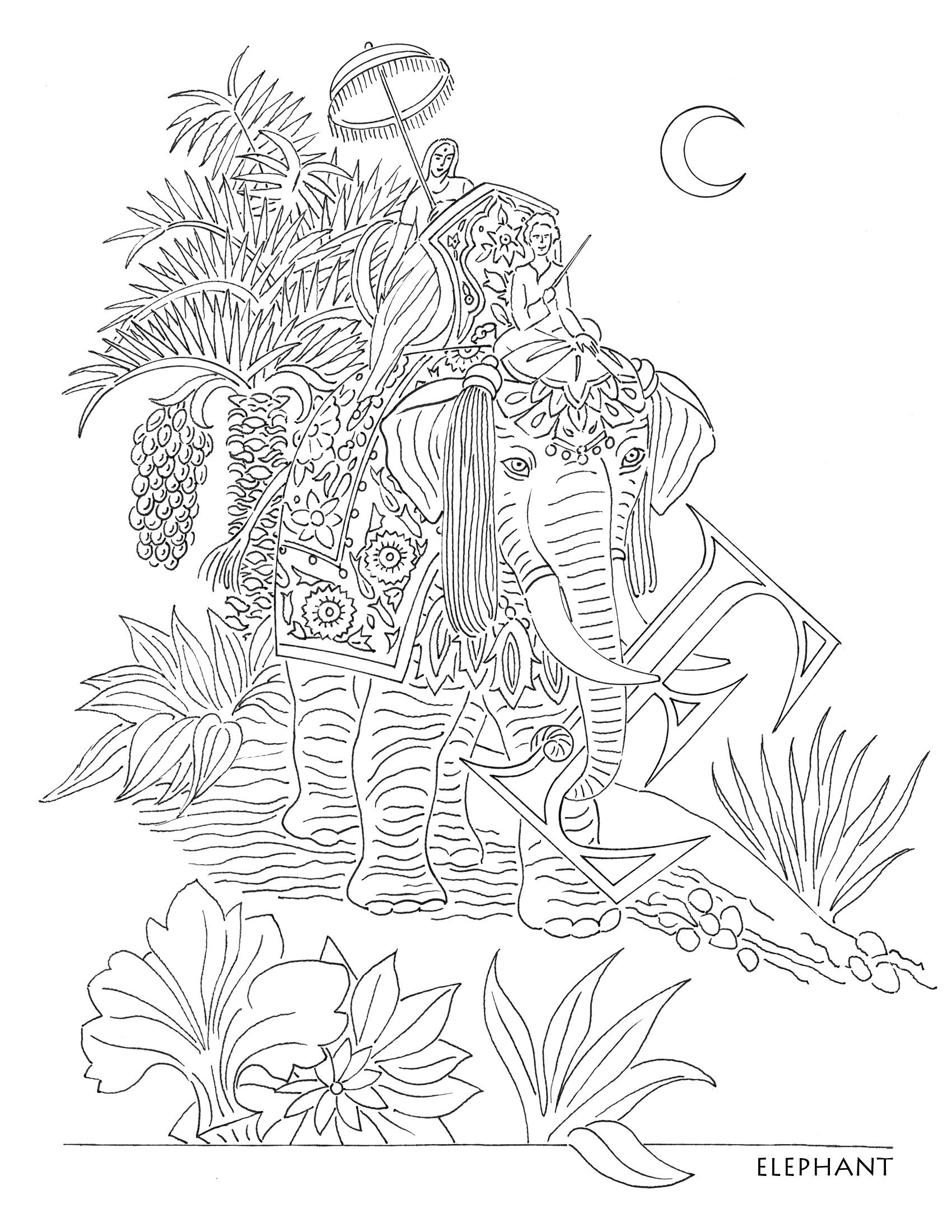 Nature Alphabet Coloring Book - Etsy