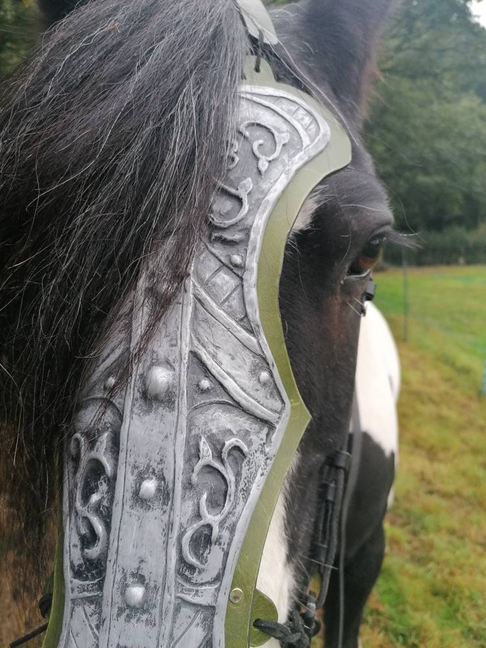 Horse Armour Lightweight Shaffron - Etsy