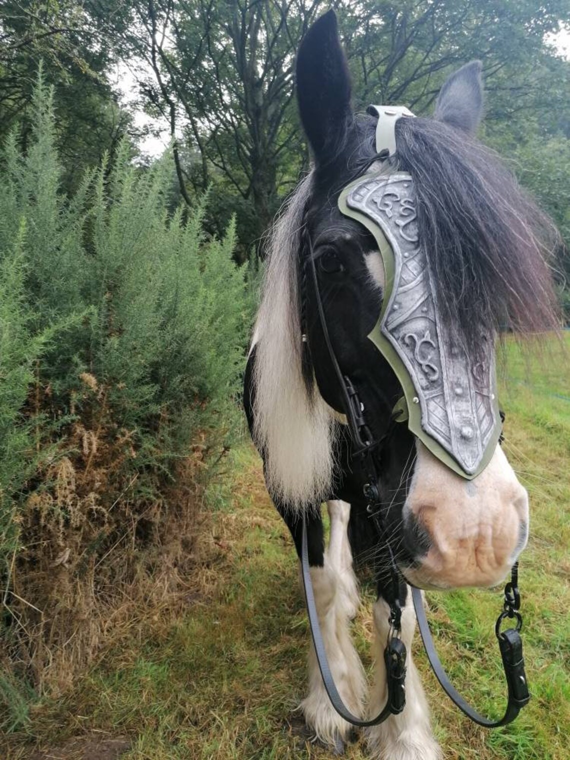 Horse Armour Lightweight Shaffron - Etsy