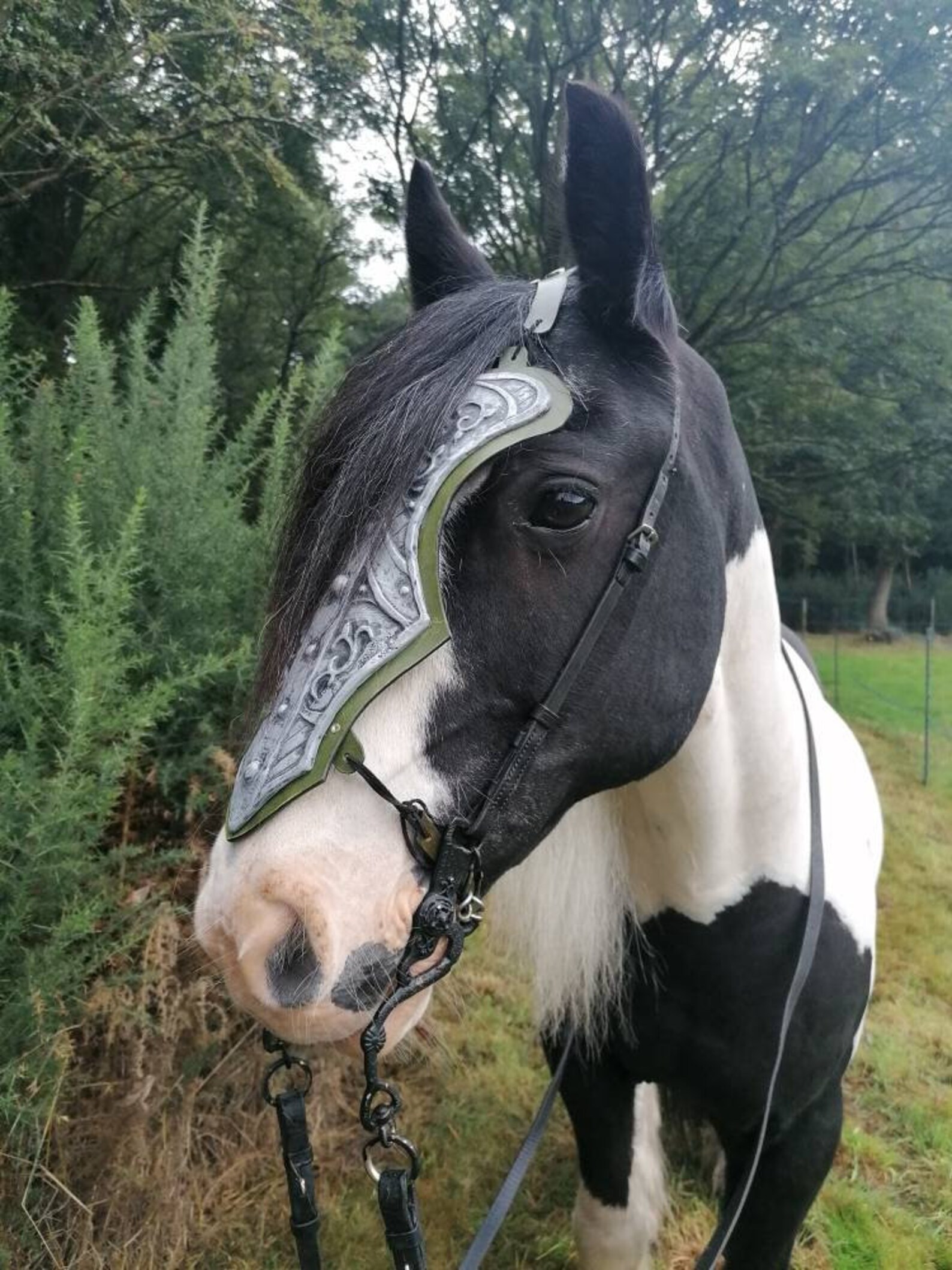 Horse Armour Lightweight Shaffron - Etsy