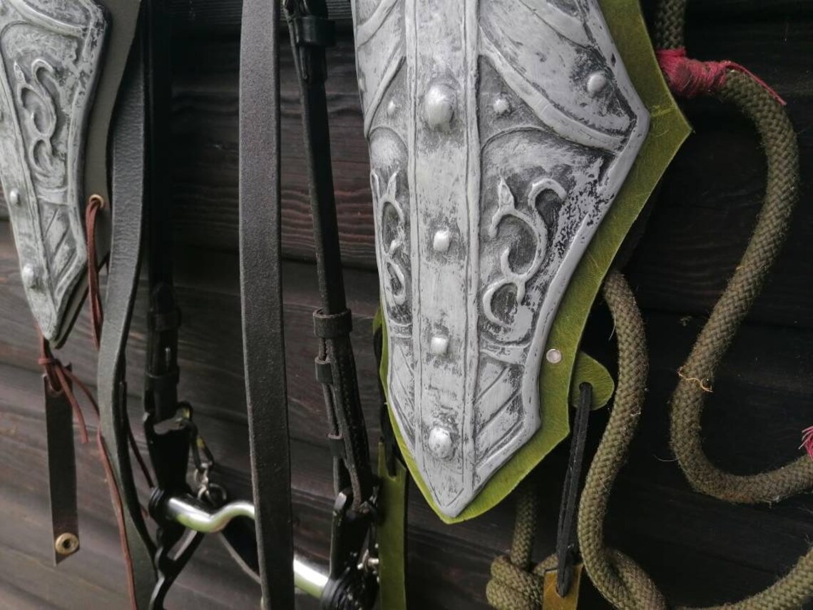 Horse Armour Lightweight Shaffron - Etsy