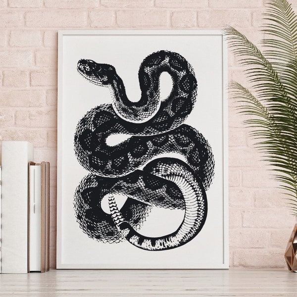 Snake Art Print - Etsy