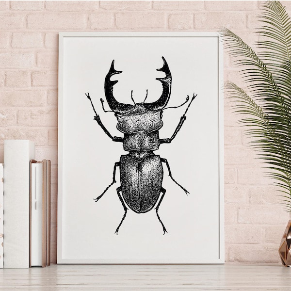 Beetle Print - Etsy