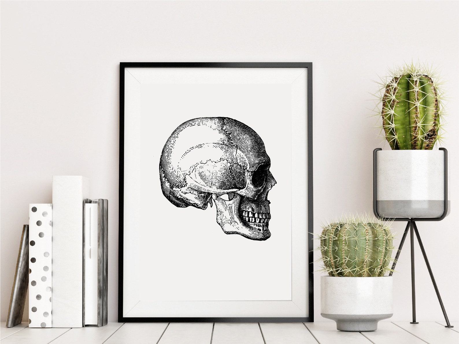 Anatomical Skull Illustration Print, Black and White Wall Art ...