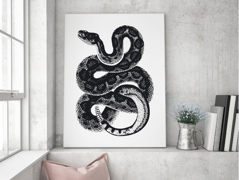 Rattlesnake illustration Print black and white Wall Art | Etsy