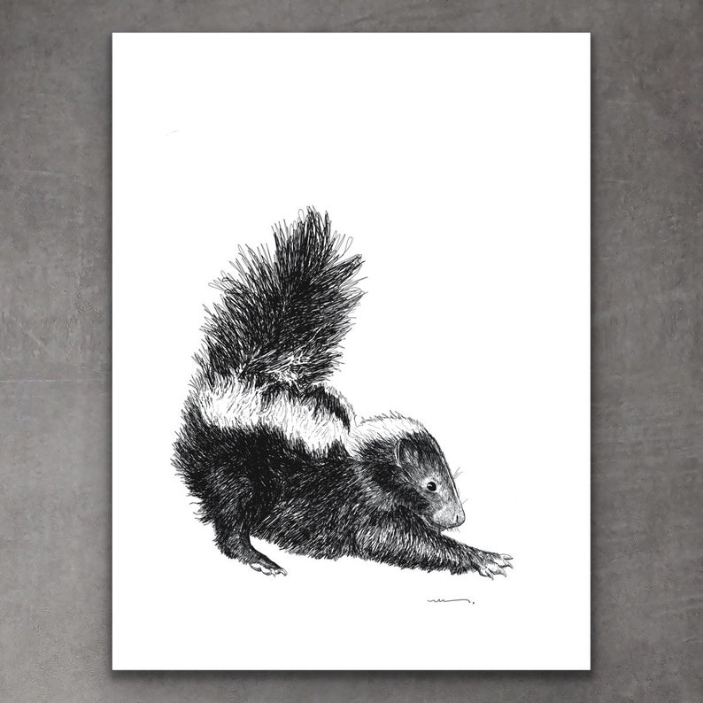 Downward Facing Skunk PRINT Pen Ink Drawing Nature Wildlife Artwork ...