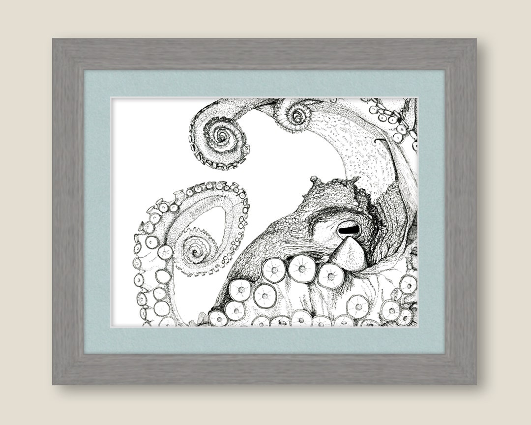 Octopus PRINT Art Pen and Ink Drawing Nature Ocean Marine - Etsy