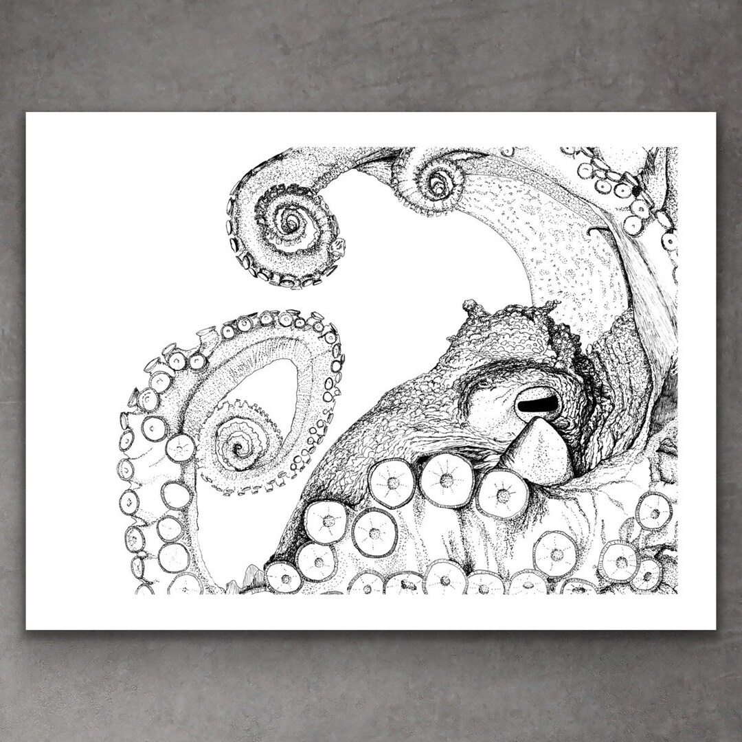 Octopus PRINT Art Pen and Ink Drawing Nature Ocean Marine Artwork ...