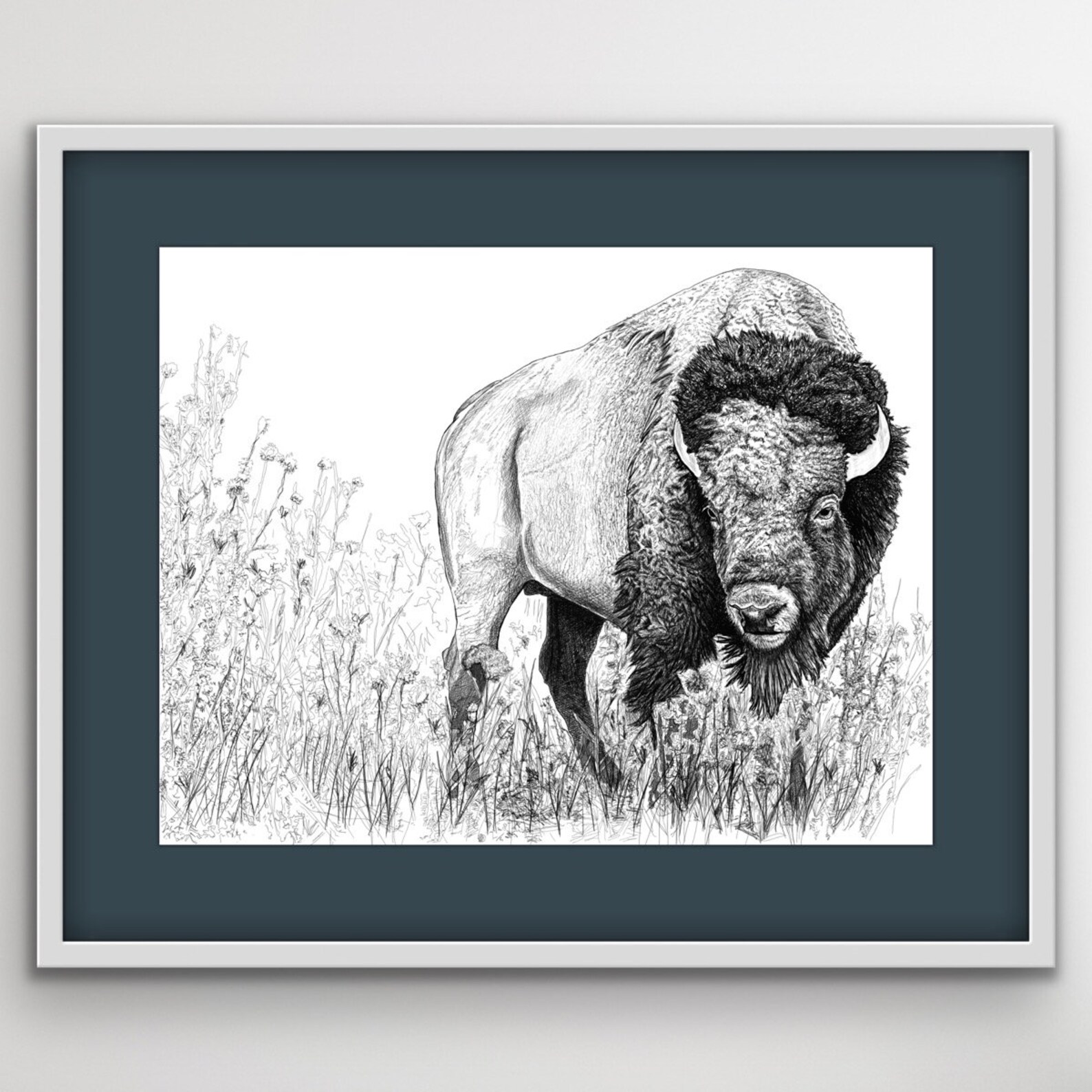 Buffalo PRINT Art Pen Ink Drawing Southwest Nature Wildlife Artwork ...