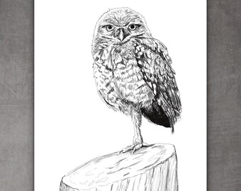 Pen and Ink Small Owl Drawing Print 5x7 Vintage like Nerdy - Etsy