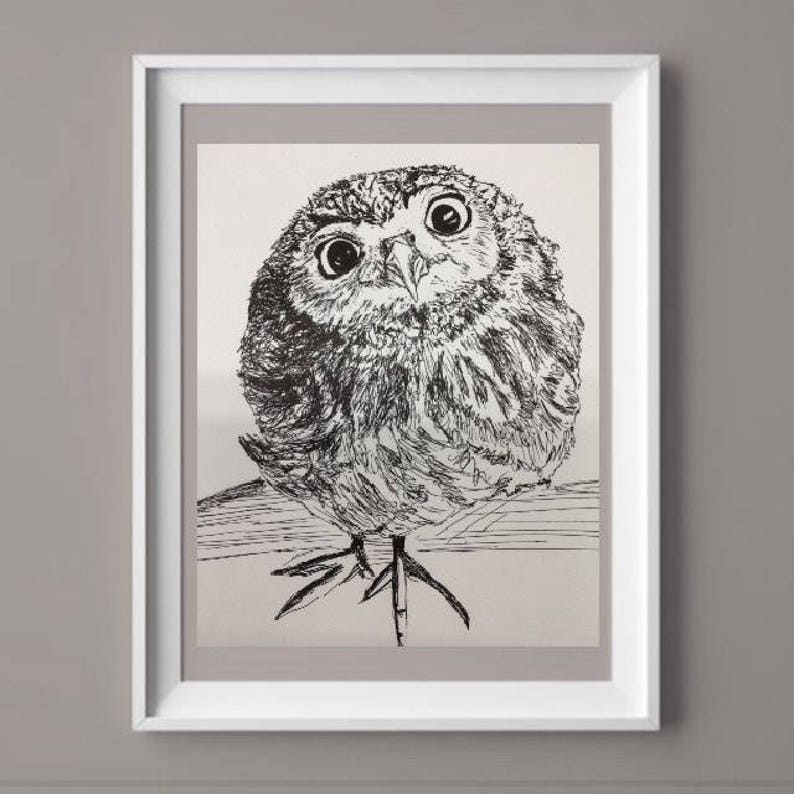 Owl Baby PRINT Pen and Ink Drawing Nature Artwork Contemporary - Etsy ...