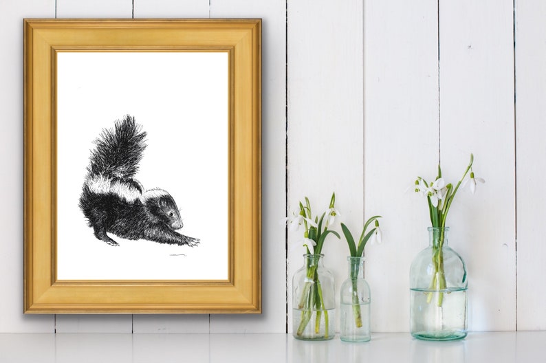 Downward Facing Skunk PRINT Pen Ink Drawing Nature Wildlife Artwork ...