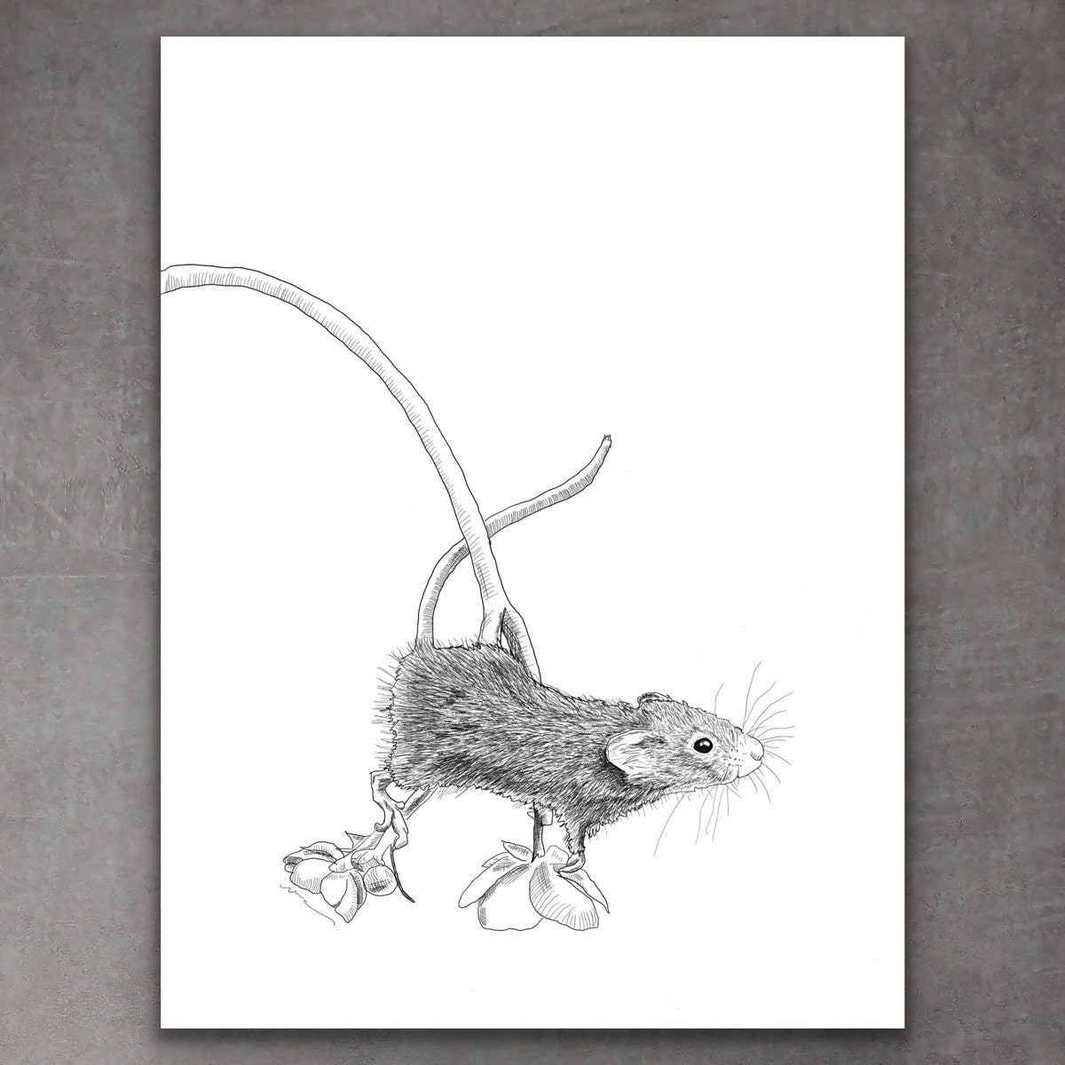 Field Mouse PRINT Art Pen Ink Drawing Nature Wildlife Artwork ...