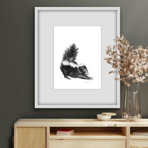 Downward Facing Skunk PRINT Pen Ink Drawing Nature Wildlife Artwork ...