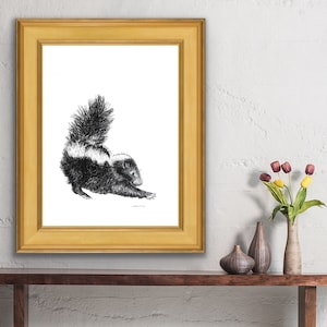 Downward Facing Skunk PRINT Pen Ink Drawing Nature Wildlife Artwork ...