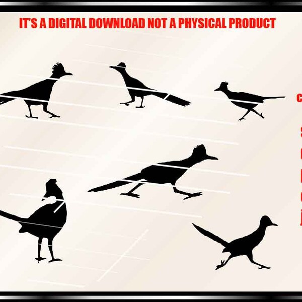 Road Runner Svg - Etsy