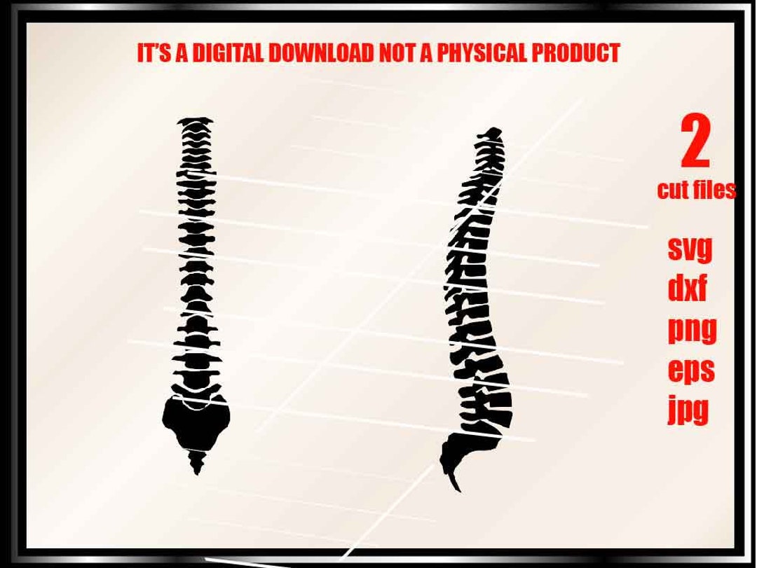 Human Spine Svg, Svg, Dxf, Eps, Png High Resolution, Jpg Reverse, DIY, Cut File, Png for ...