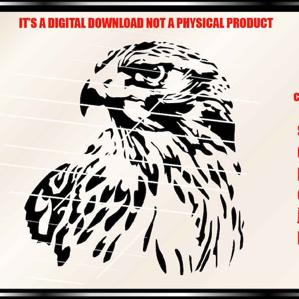 Falcon Vinyl Heat Transfer - Etsy