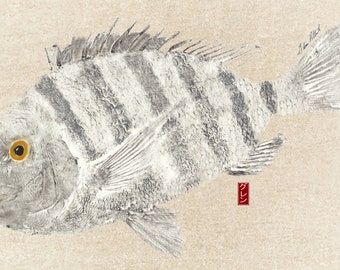 Sheepshead Fish Art | Etsy