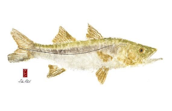Snook Fish Print - Etsy