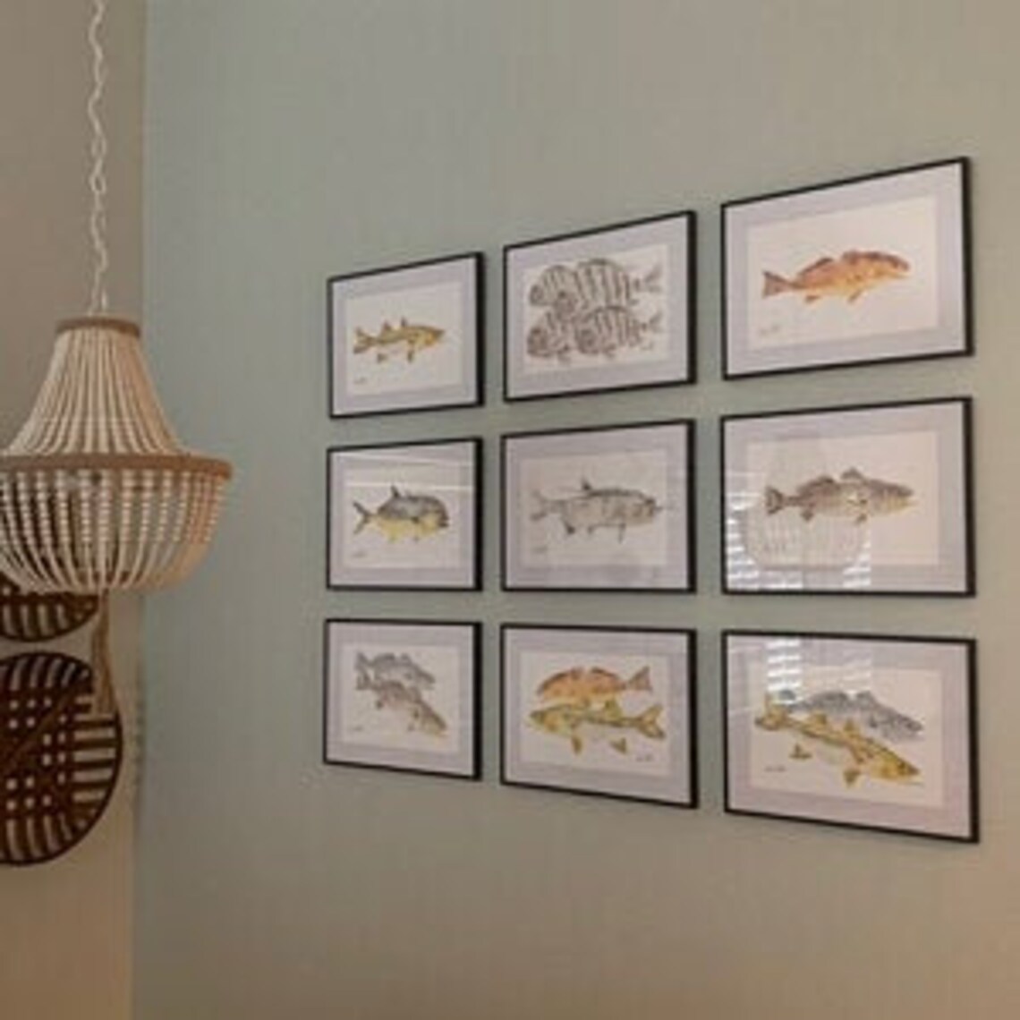 Sheepshead School Fish Print - Etsy