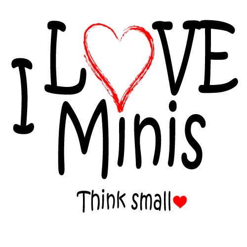 ILoveMinisCanada - Etsy Canada